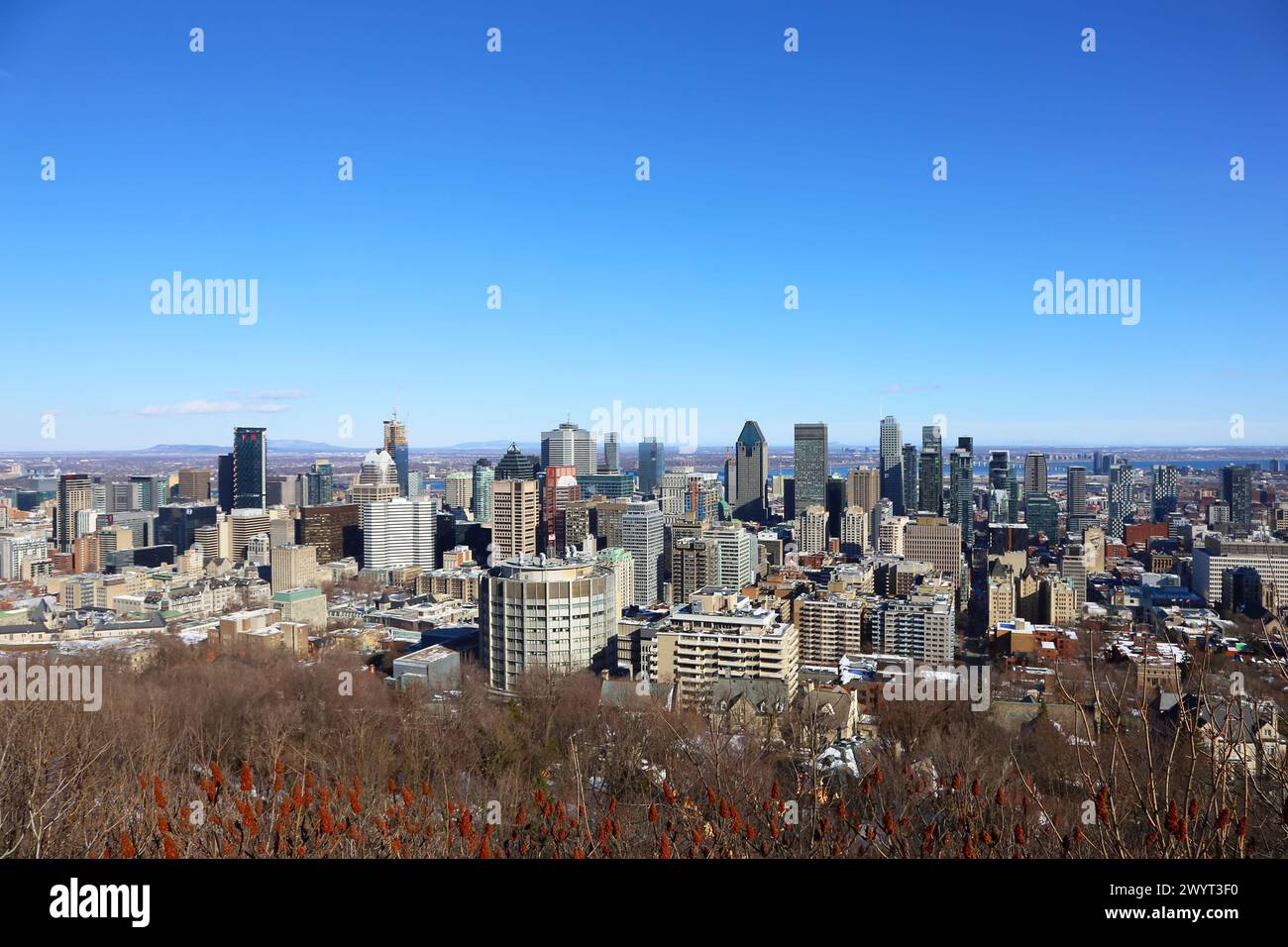 Skyline view from Mount Royal hill at the Montreal city - Canada Stock ...