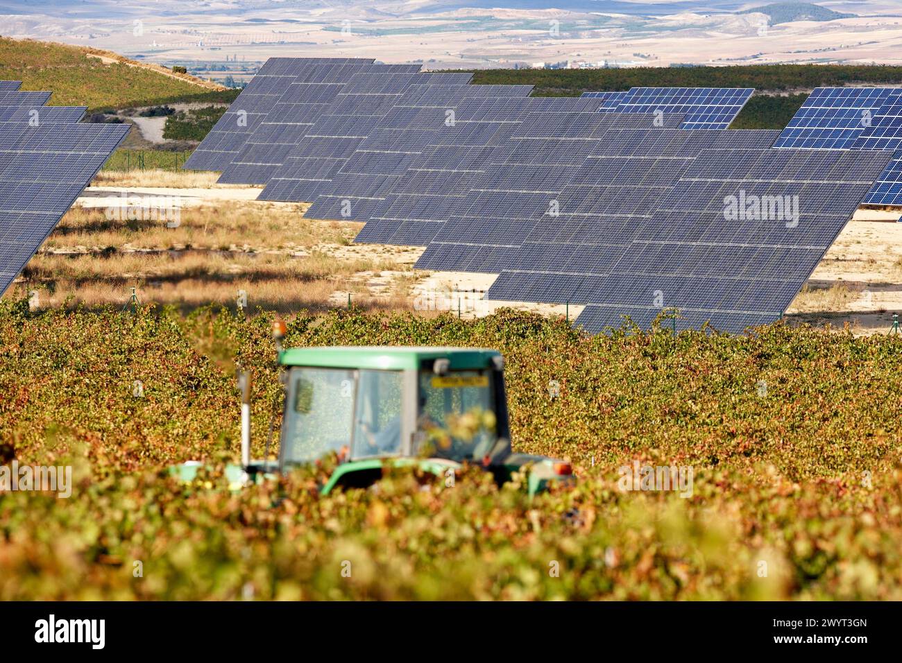 Vineyards and solar panels, photovoltaics, solar power plant, Milagro ...