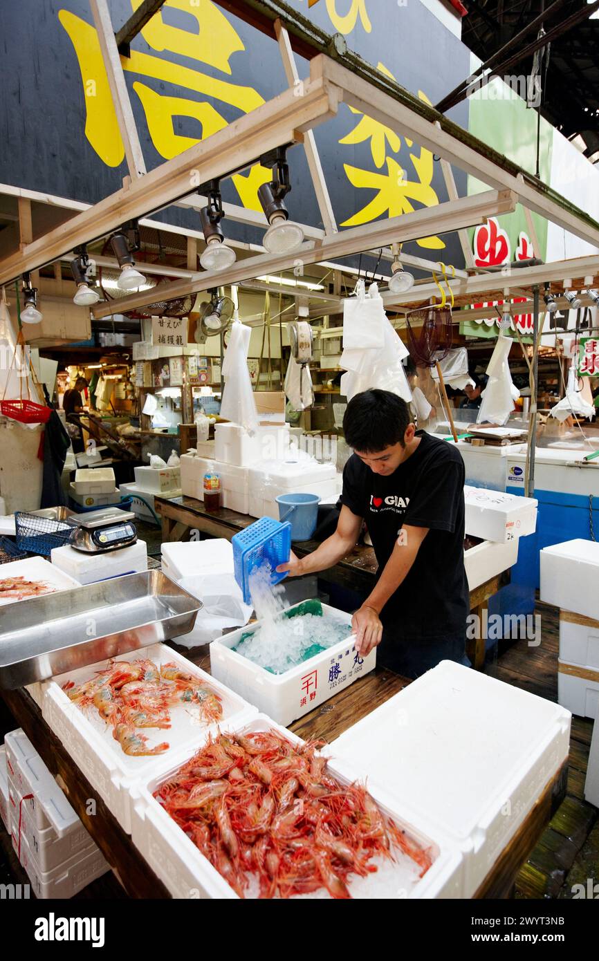 Prawn tsukiji fish market tokyo hi-res stock photography and images - Alamy