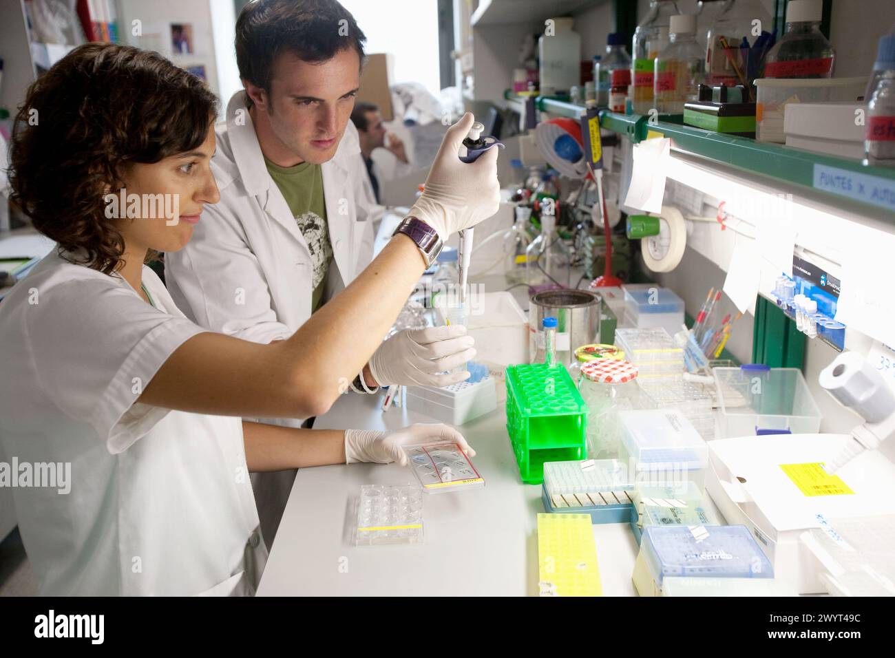 Department brain ischemia neurodegeneration iibb hi-res stock ...