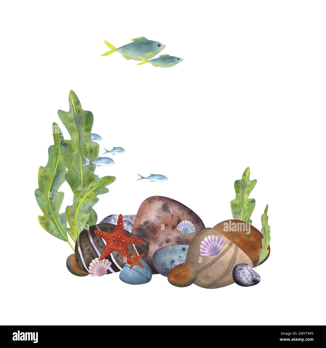 Marine composition, frame, template on a white background. Sea stones ...