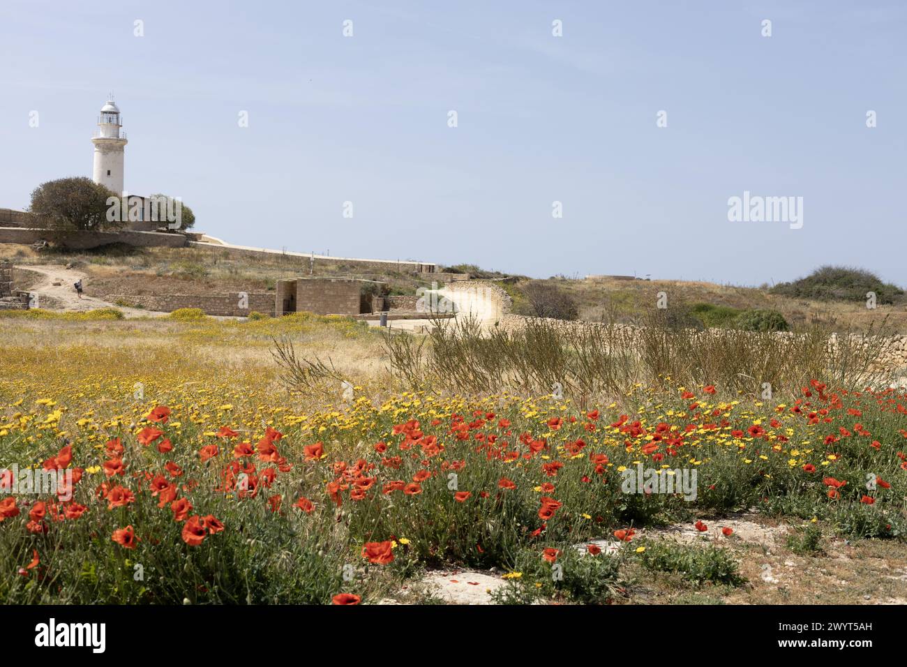 Cyprus wildflowers hi-res stock photography and images - Alamy