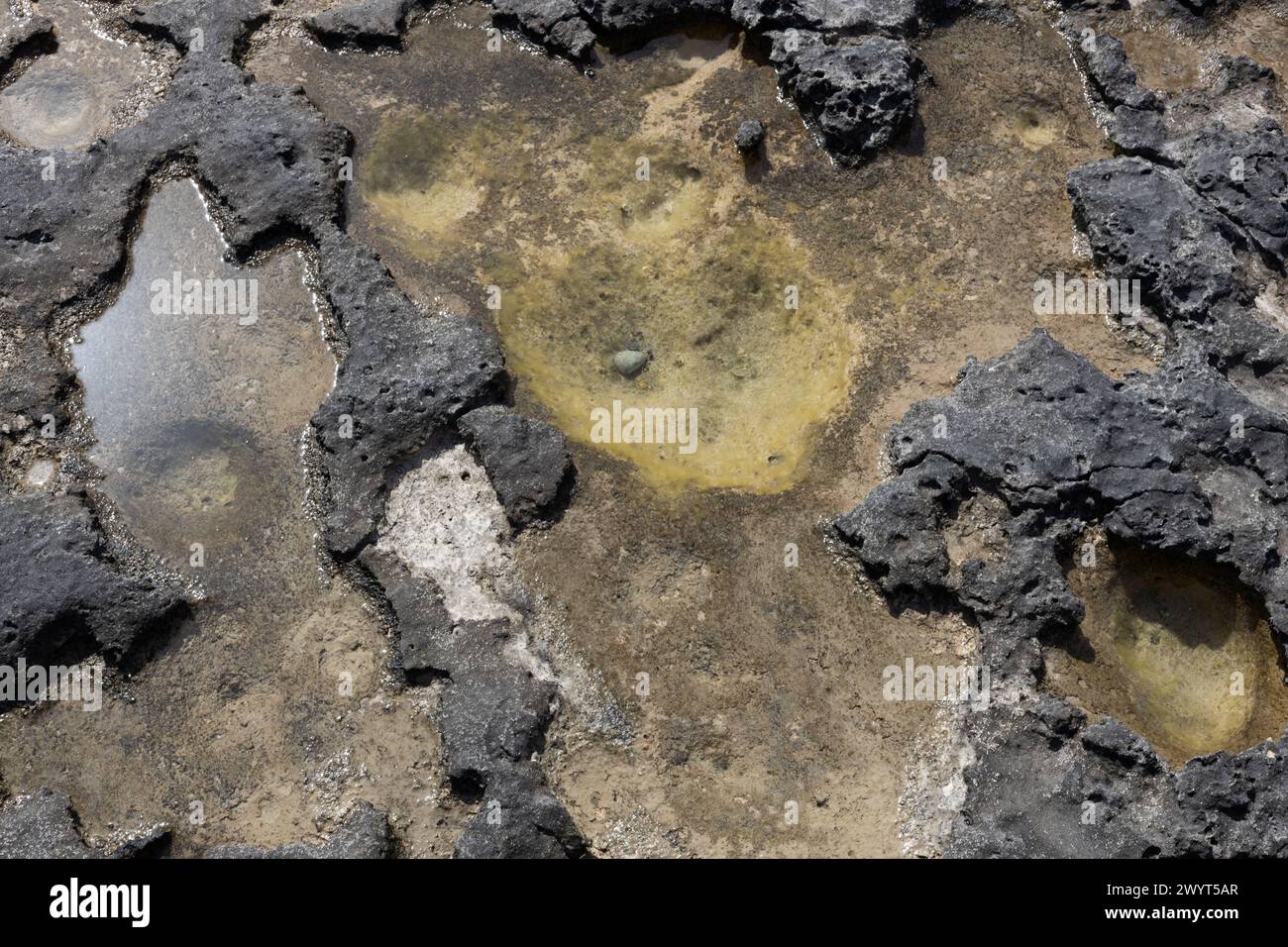 Rocky Tidal Pools. Volcanic rock formation with natural tidal pools and ...