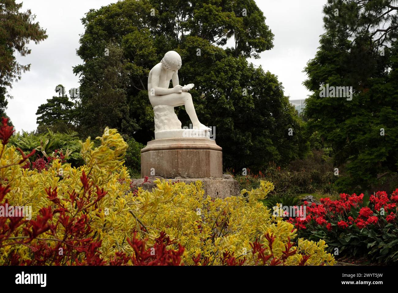 Boy with thorn hi-res stock photography and images - Alamy