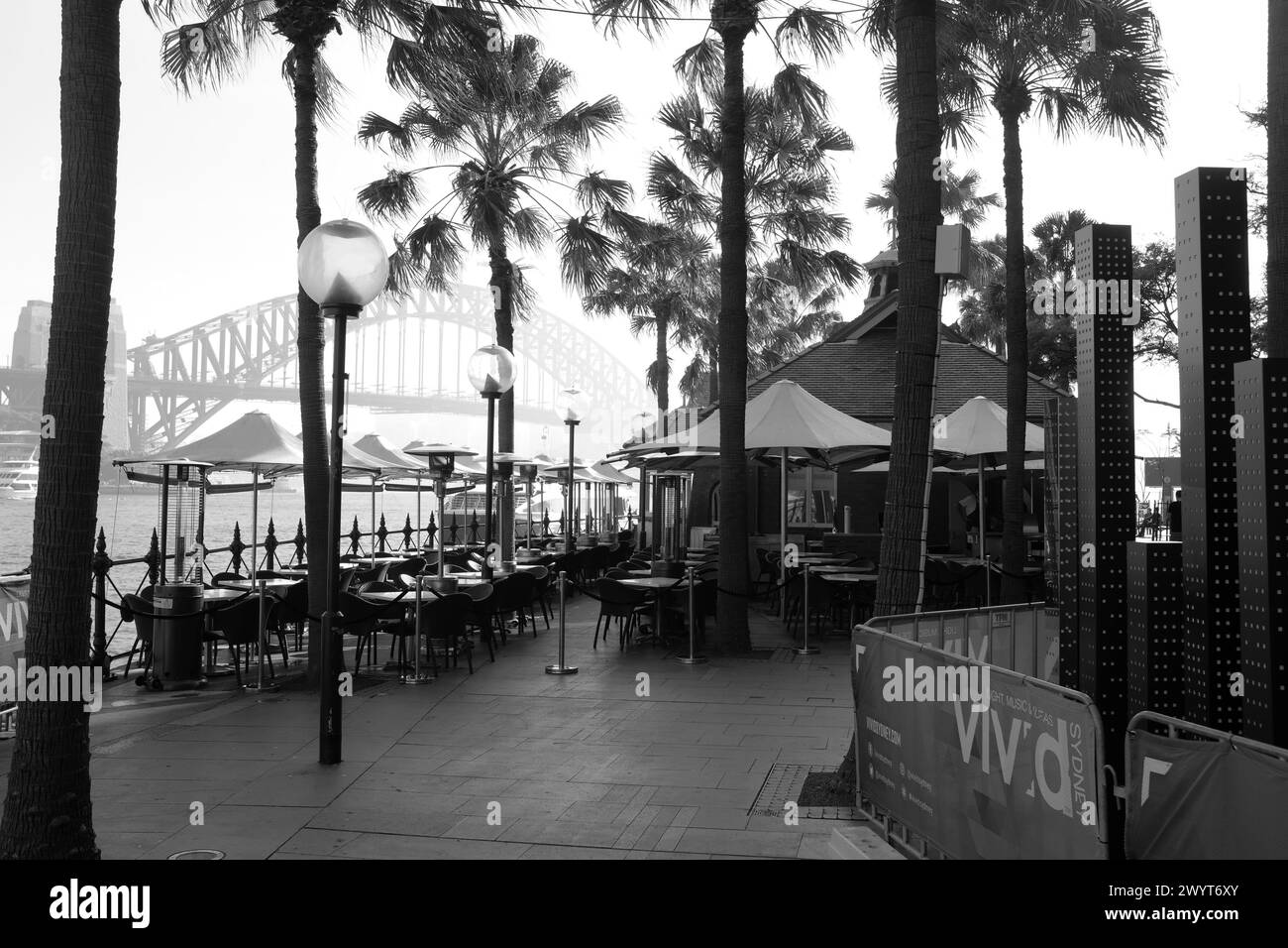 Palm trees, café tables, the Sydney Harbour Bridge and a Vivid light ...