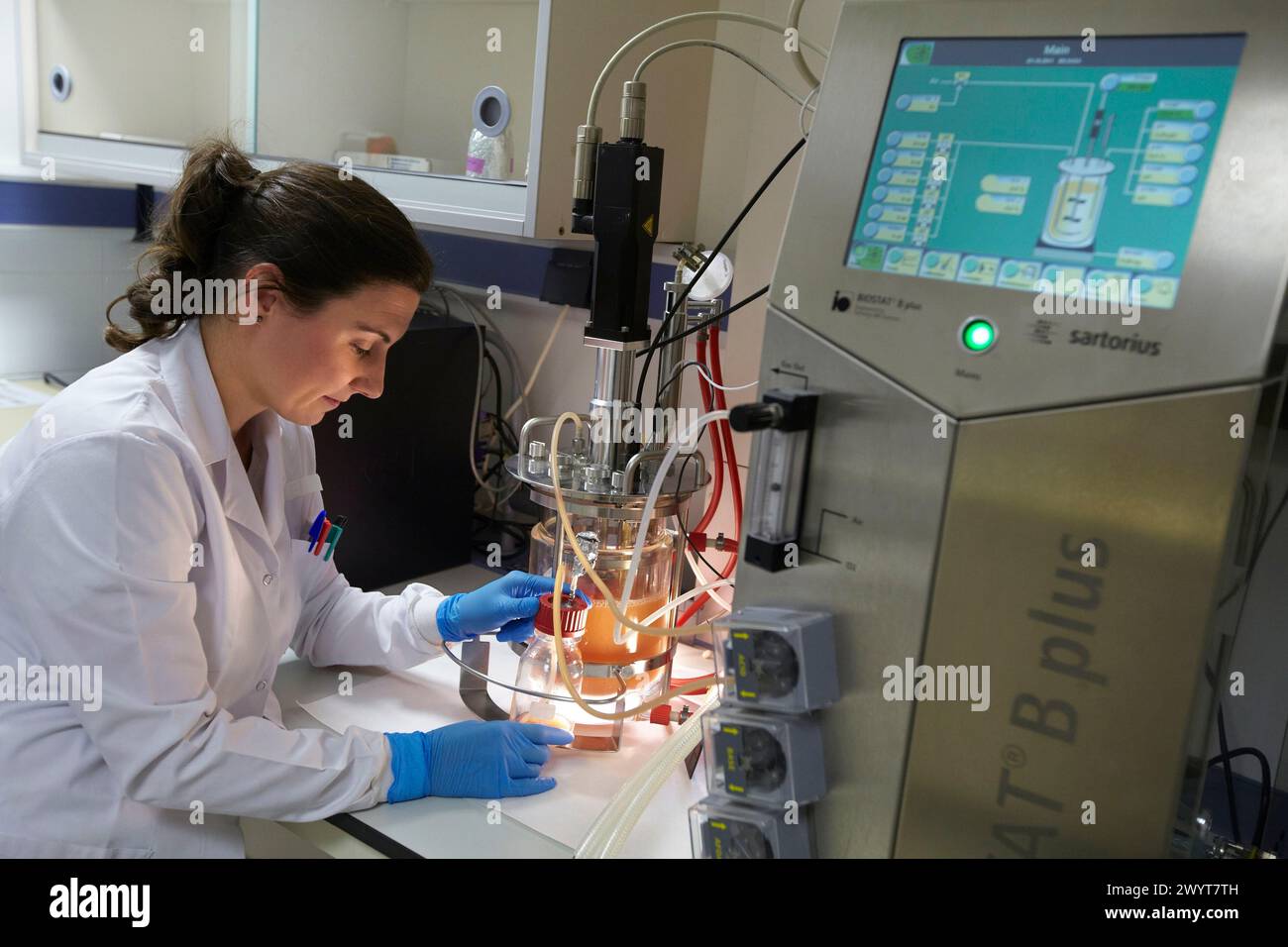 Single use bioreactor hi-res stock photography and images - Alamy
