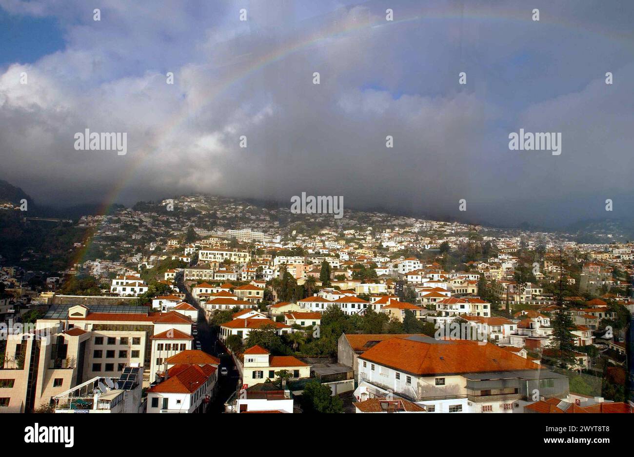Red rooftops on the town of Funchal on the island of Madeira with ...