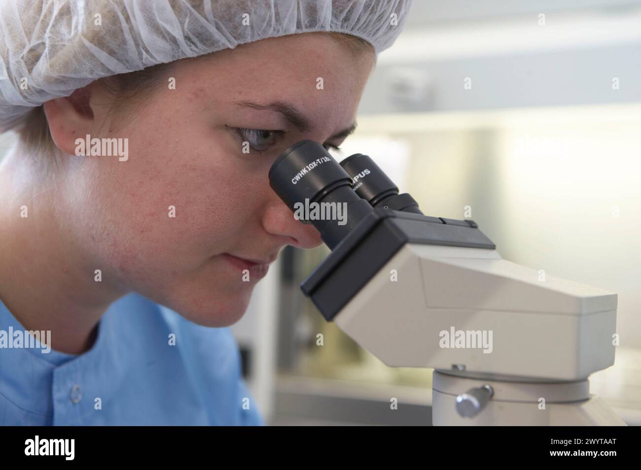 Analyzing samples in microscope. Quarantine zone (Grade C), clean room ...
