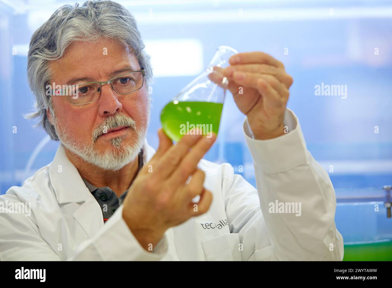 Reactor for microalgae cultivation hi-res stock photography and images ...