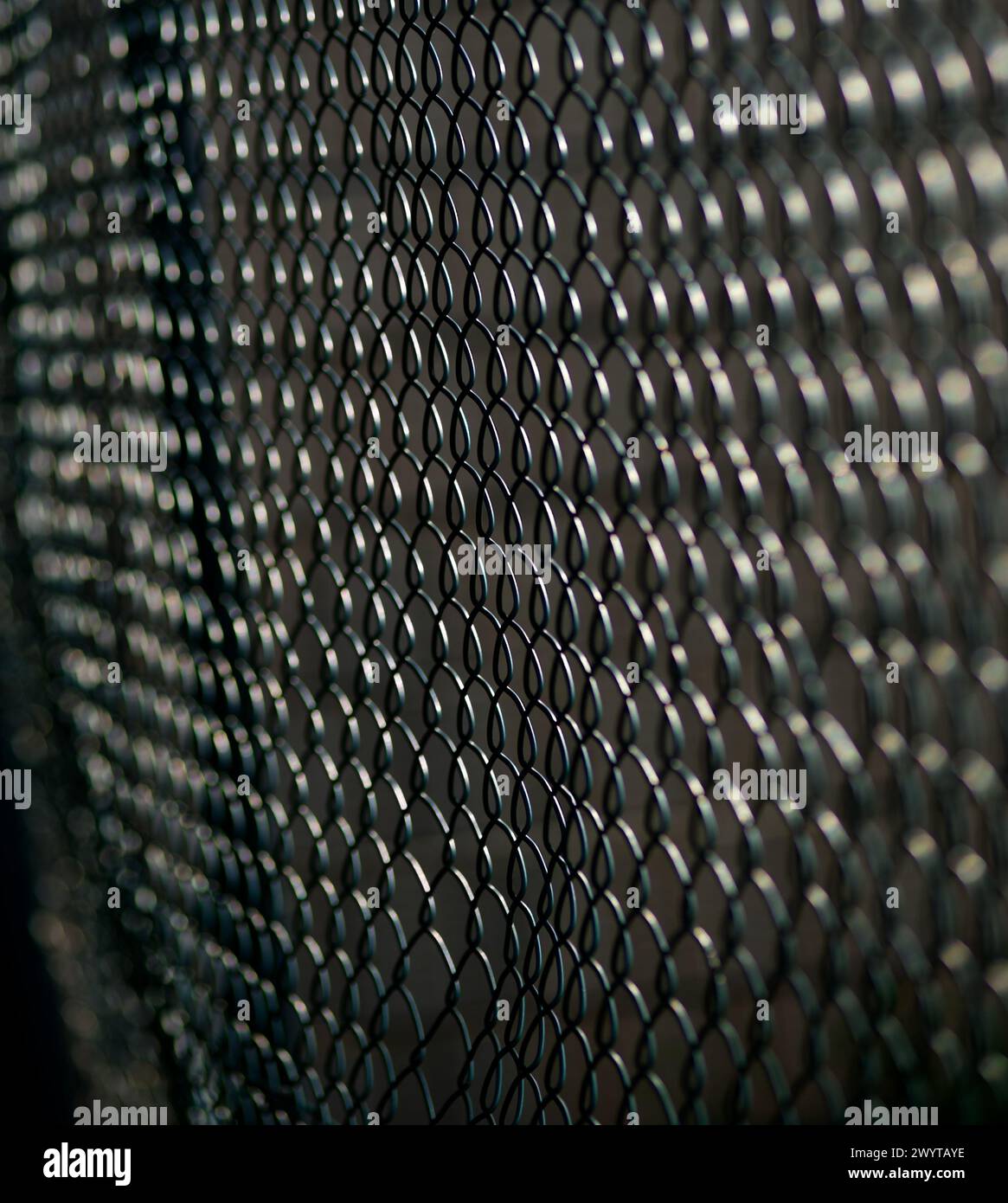 Patterns of lights and shades at a wire mesh fence in dark green Stock ...