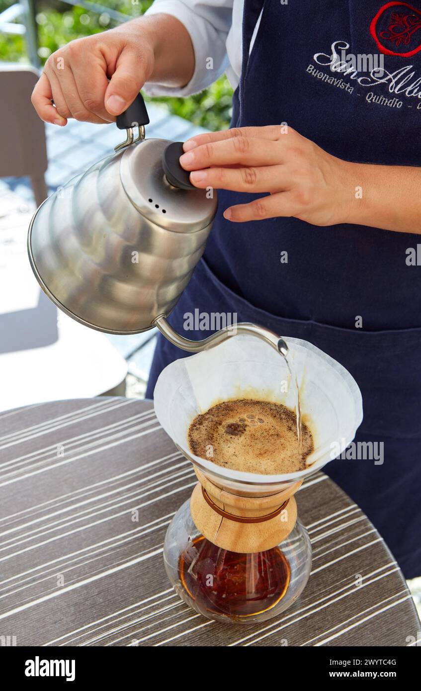 Hacienda San Alberto, Cafetal, Coffee plantations, Coffee Cultural ...