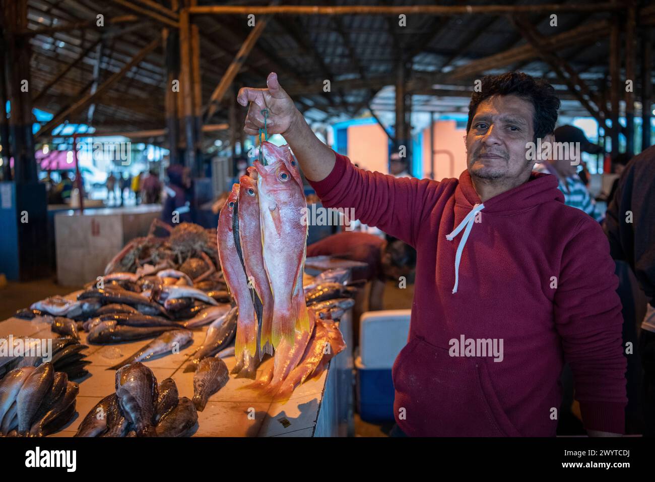 Fishmarket, Manta, Manabi, Ecuador Stock Photo - Alamy