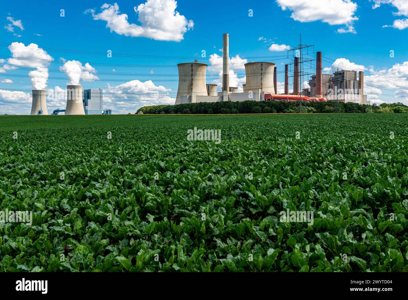 Braunkohl Kraftwerk Neurath 1 Grevenbroich-Neurath, Germany. The two ...