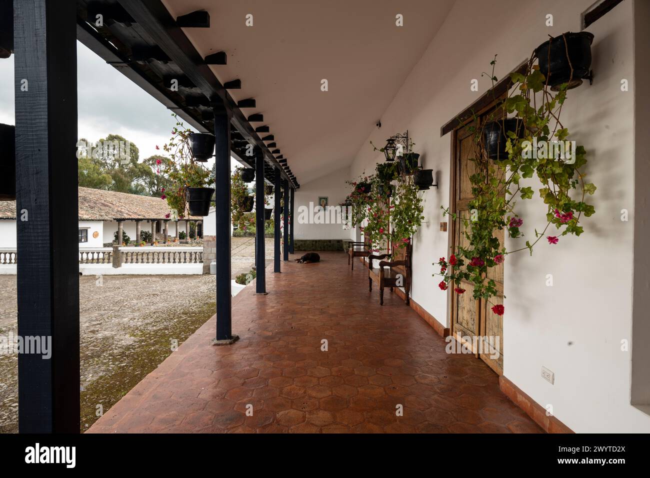Zuleta ecuador hi-res stock photography and images - Alamy