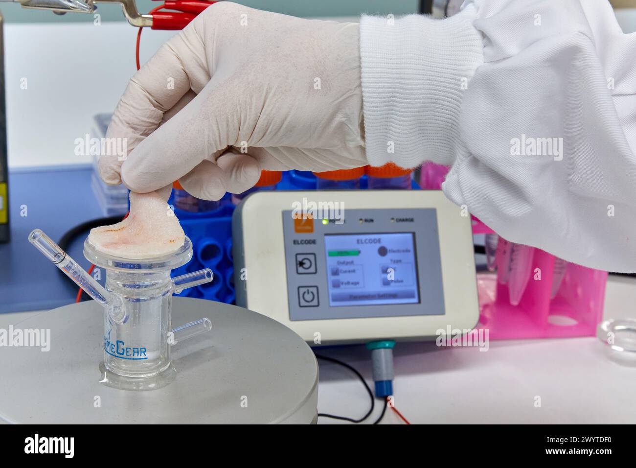 Elcode is a technological asset that consists of an electrode ...