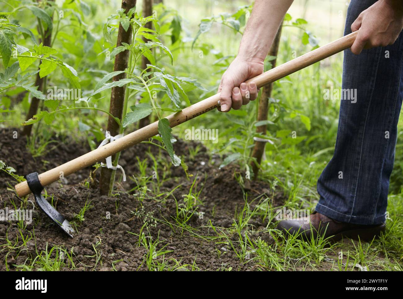 Farmer using hoe hand tool hi-res stock photography and images - Alamy