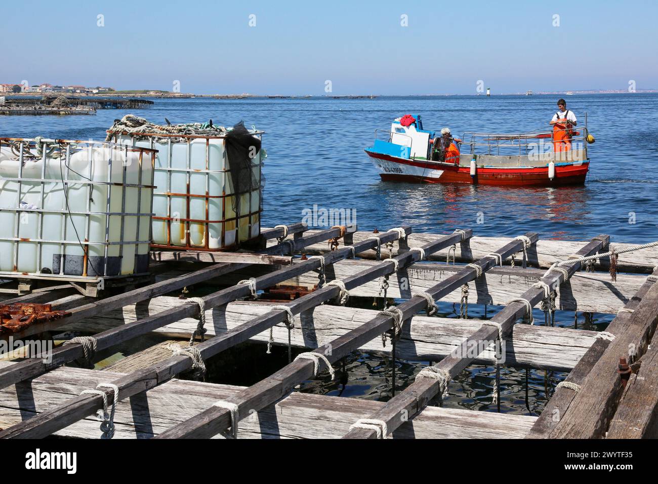 Cultivation of mussels, semi-submerged platform Batea marine ...