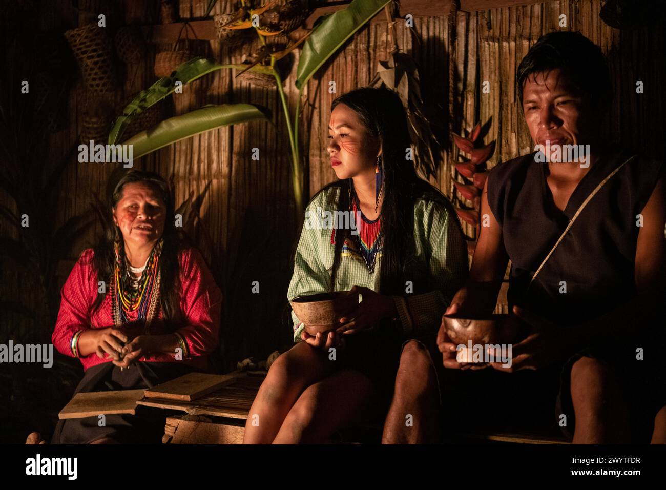 Guyasa Upina, Traditional Kichwas Energising Ceremony, Archidona, Napo ...