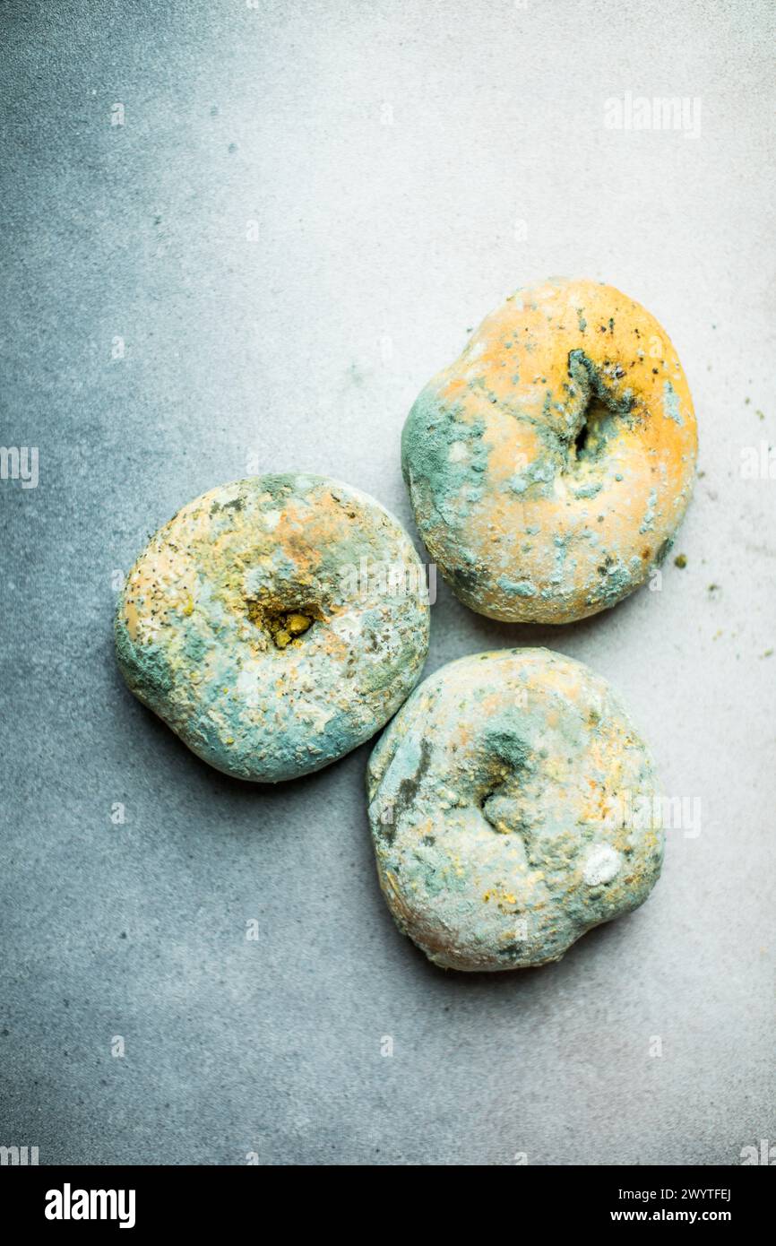moldy bagel bread. spoiled bakery products Stock Photo - Alamy