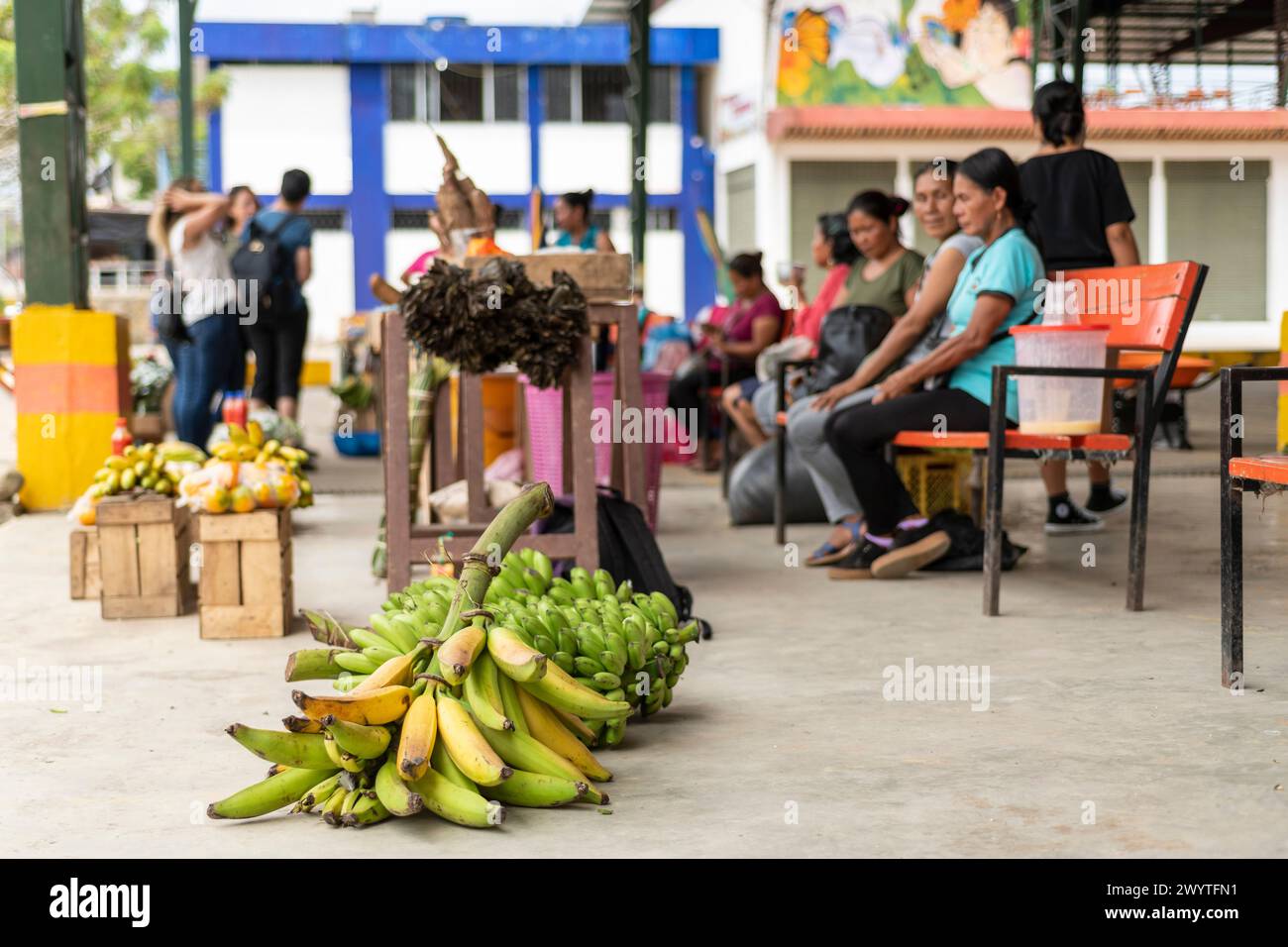 Food Market, Cotundo,, Napo Province, Amazonia, Ecuador Stock Photo - Alamy