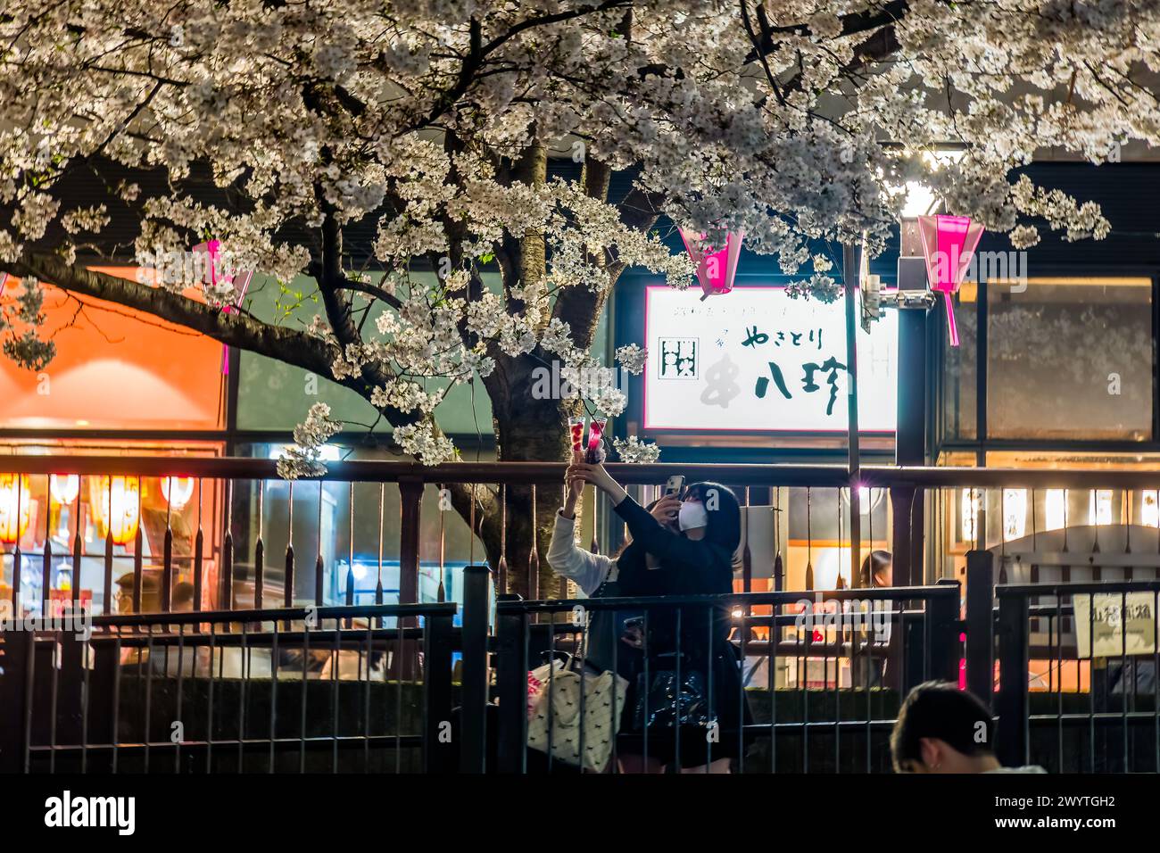 TOKYO, JAPAN - APRIL 06 2024: Crowds of people celebrating Hanami ...
