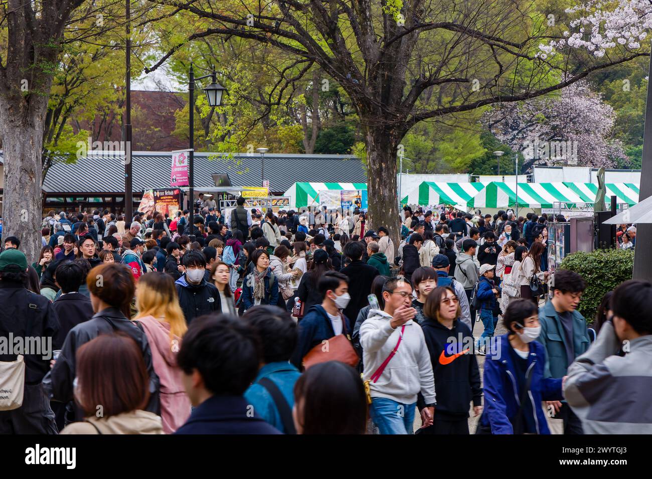 TOKYO, JAPAN - APRIL 06 2024: Huge crowds of people celebrating Cherry ...
