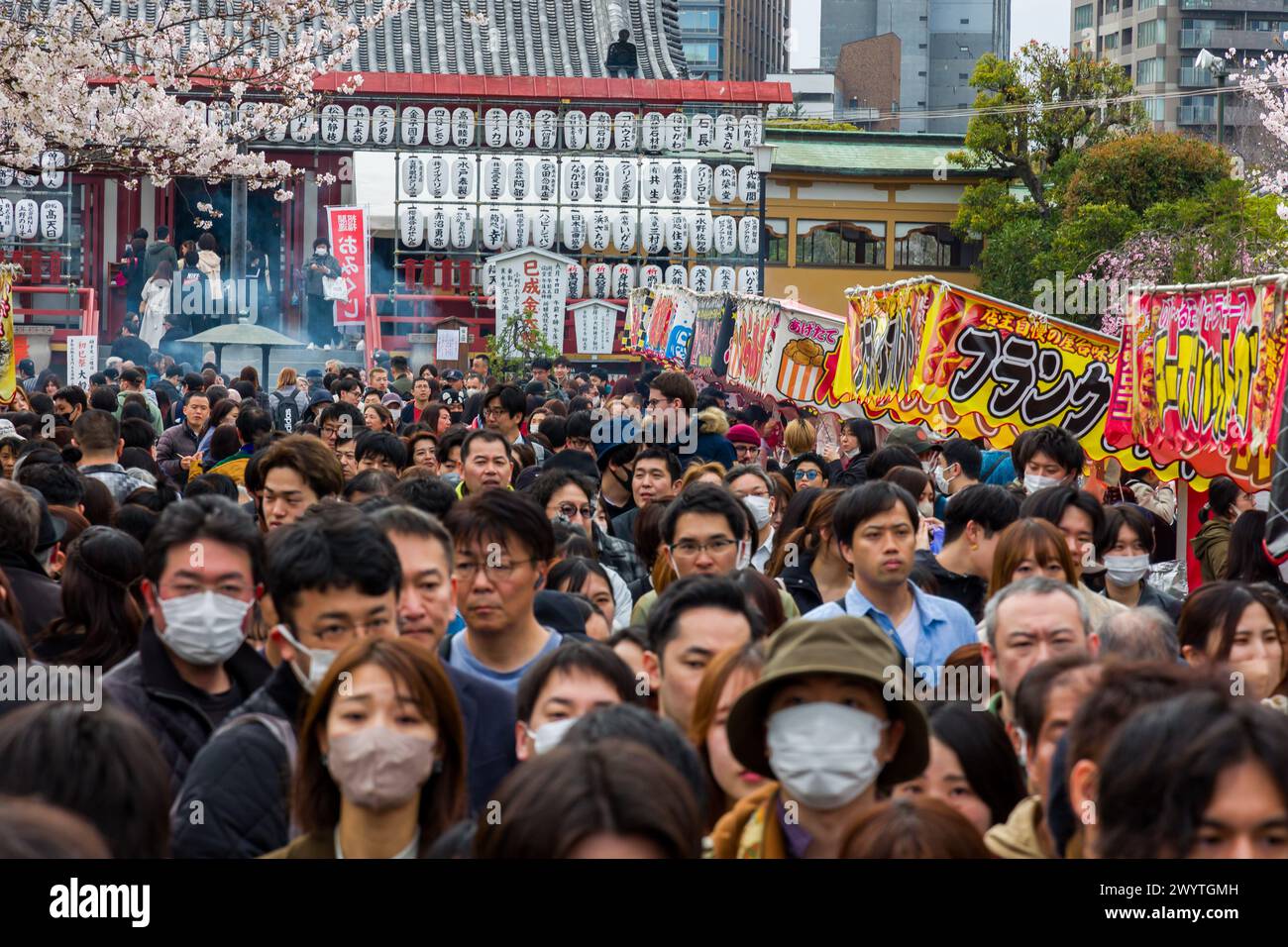 TOKYO, JAPAN - APRIL 06 2024: Huge crowds of people celebrating Cherry ...