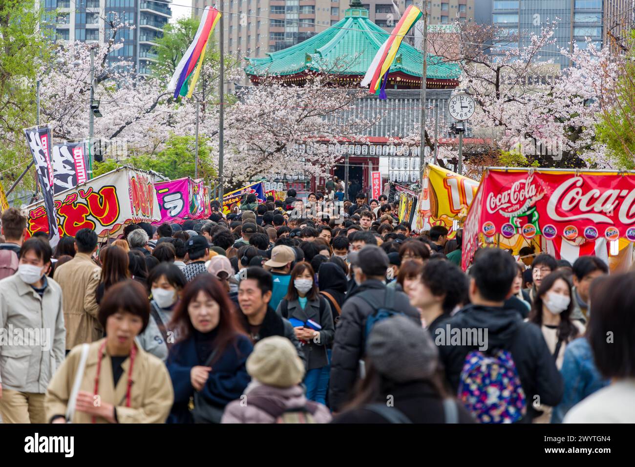 TOKYO, JAPAN - APRIL 06 2024: Huge crowds of people celebrating Cherry ...