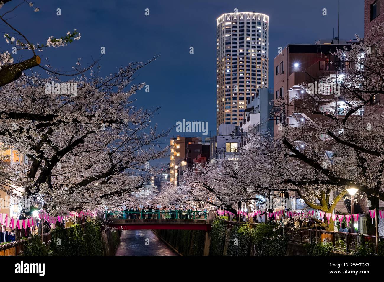 Hanami festival japan celebrating hi-res stock photography and images ...