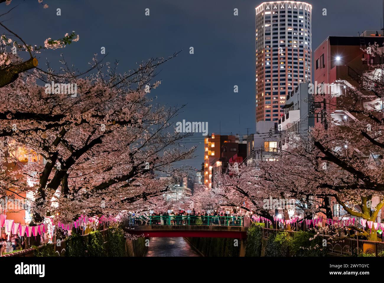 TOKYO, JAPAN - APRIL 06 2024: Crowds of people celebrating Hanami ...