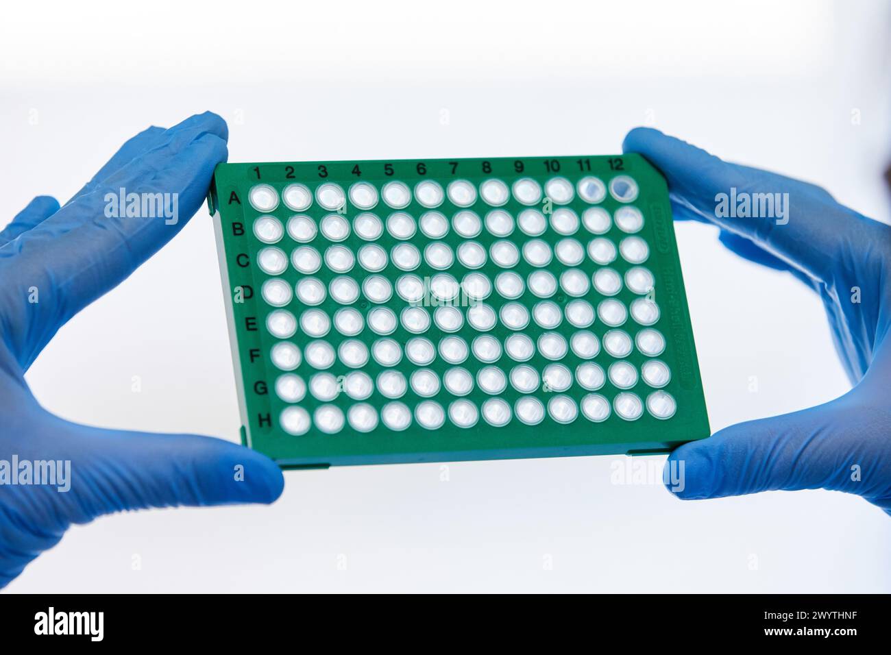 96 well hi-res stock photography and images - Alamy