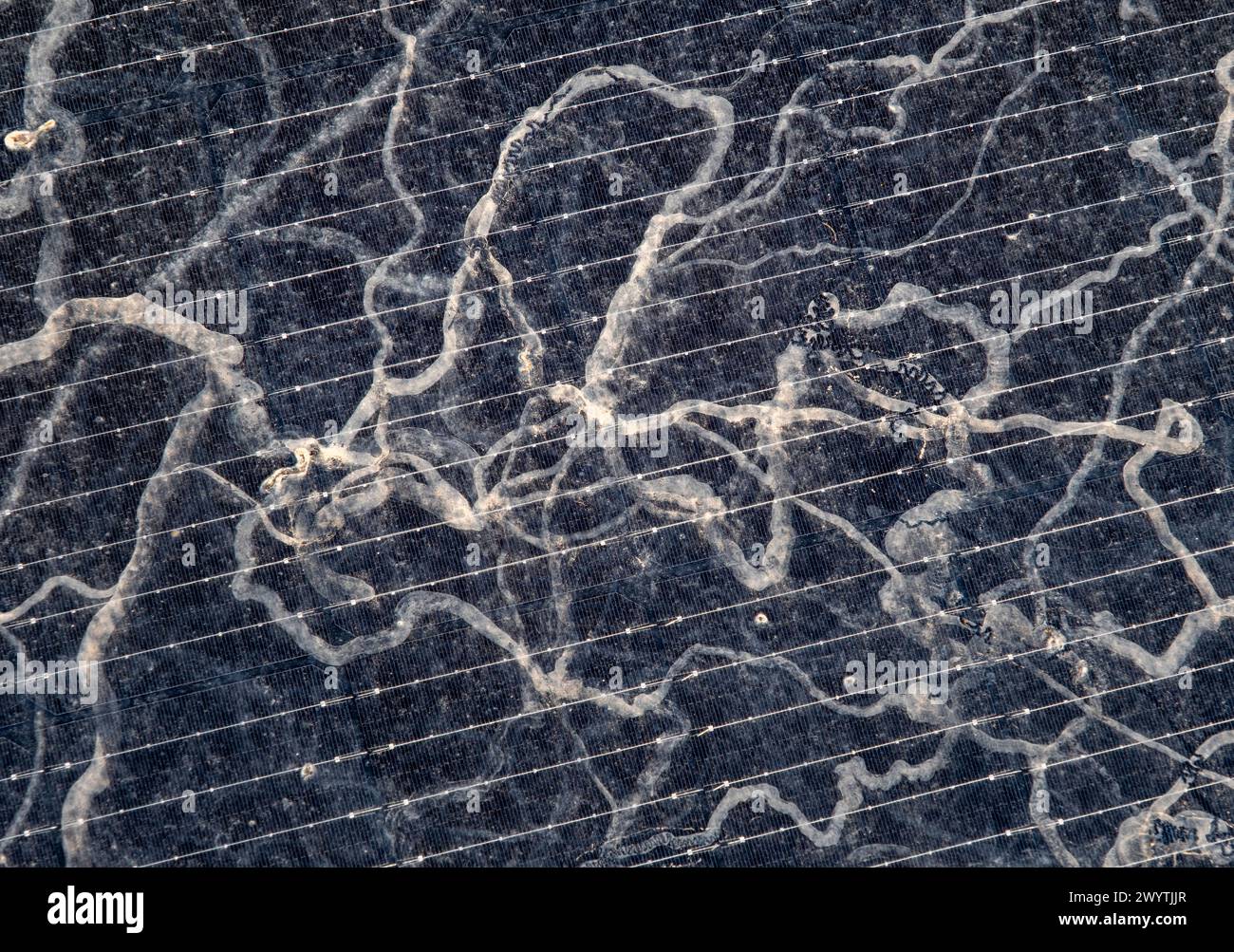 Sahara staub deutschland hi-res stock photography and images - Alamy