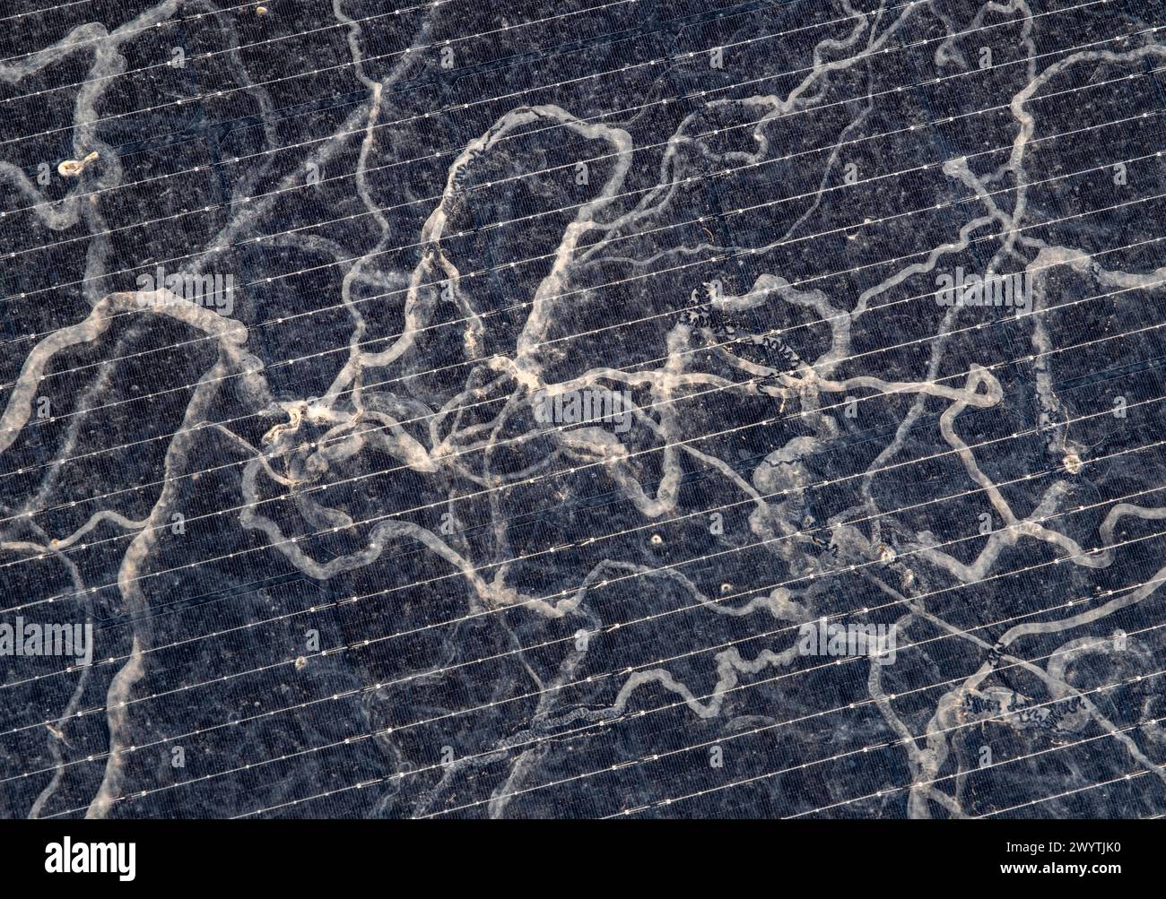 Sahara staub deutschland hi-res stock photography and images - Alamy