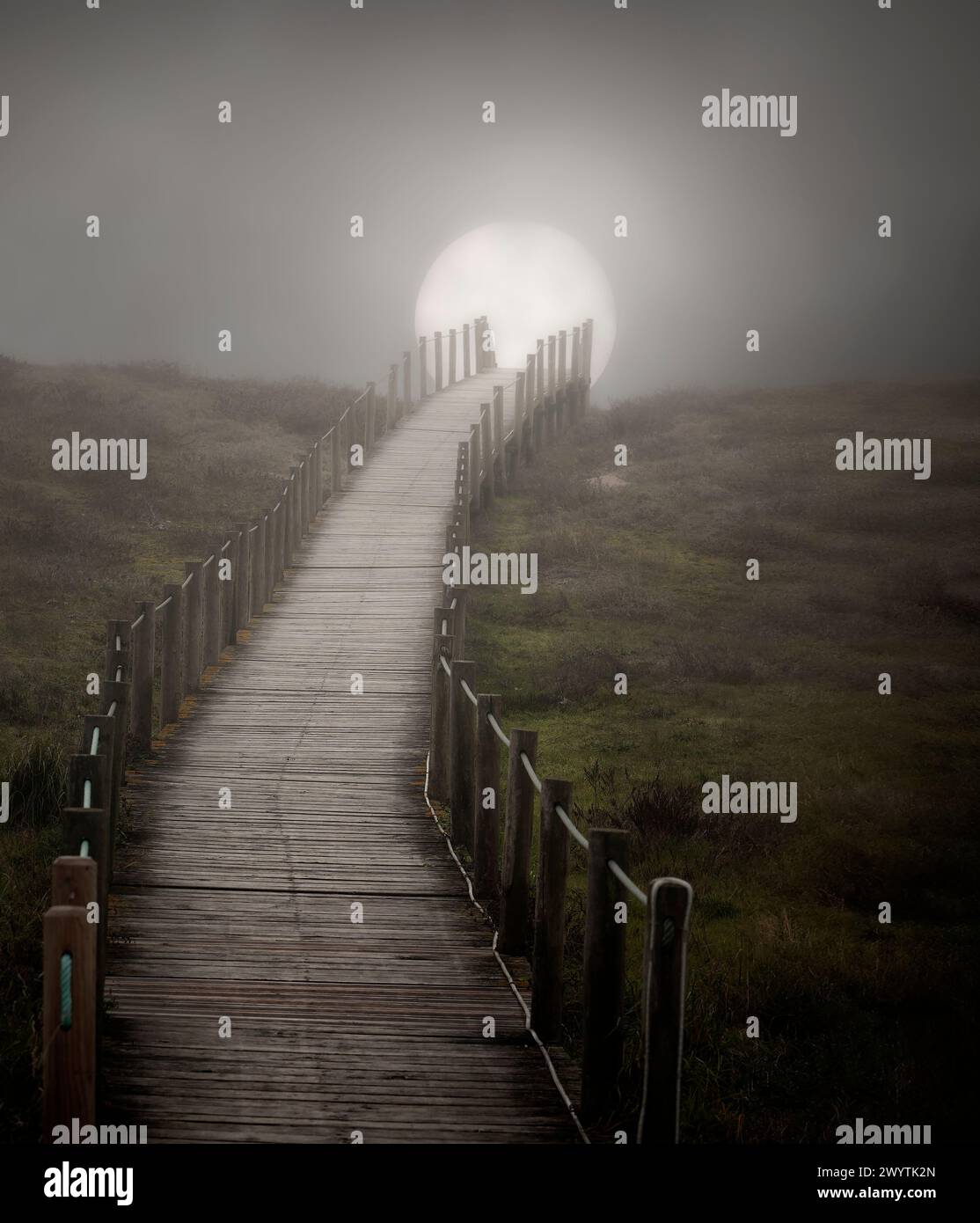 White dune wooden boardwalk hi-res stock photography and images - Alamy