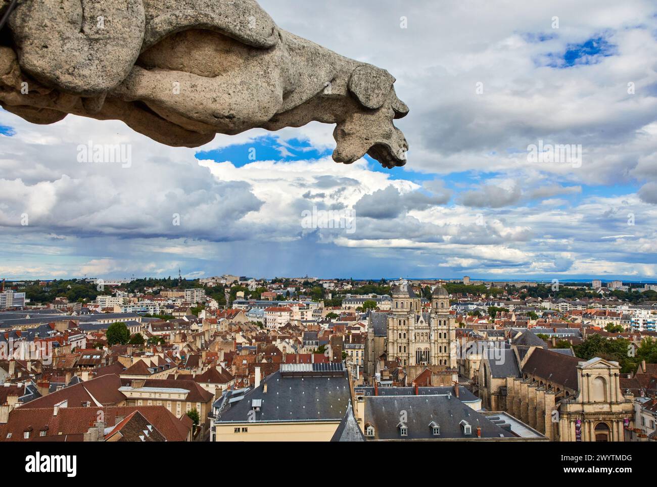 Saint-Michel church, La Nef, Tour Phillippe Le Bon, Dijon, Cote d'Or ...
