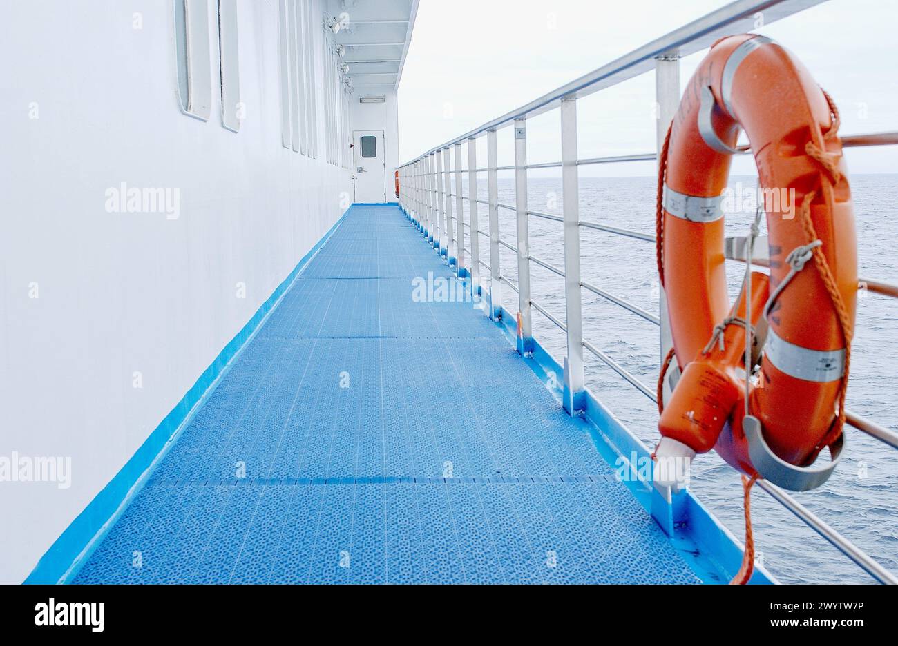 Sea life belts hi-res stock photography and images - Alamy