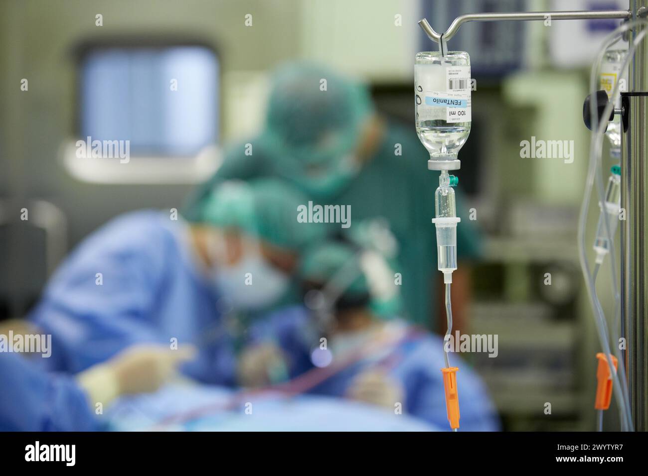 Tonsillectomy, Surgeons performing a tonsillectomy tonsil removal ...