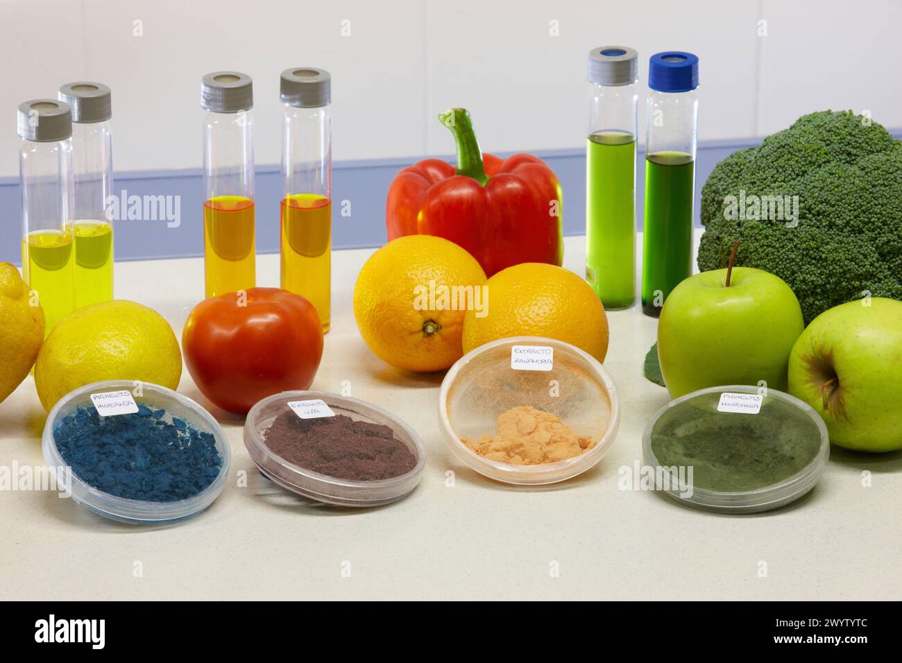 Bioactive compounds from the food industry Extracts from raw materials ...