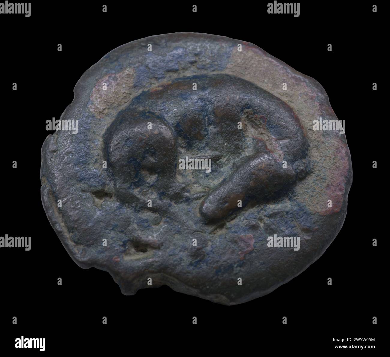 Early ancient roman coin with sleeping dog. Italy Stock Photo - Alamy