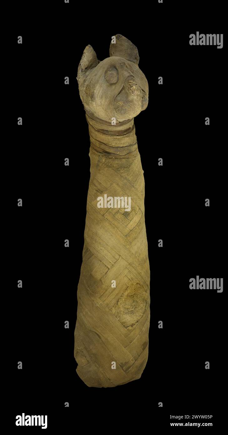 Cat mummy. Ancient Egypt. Isolated on black Stock Photo - Alamy