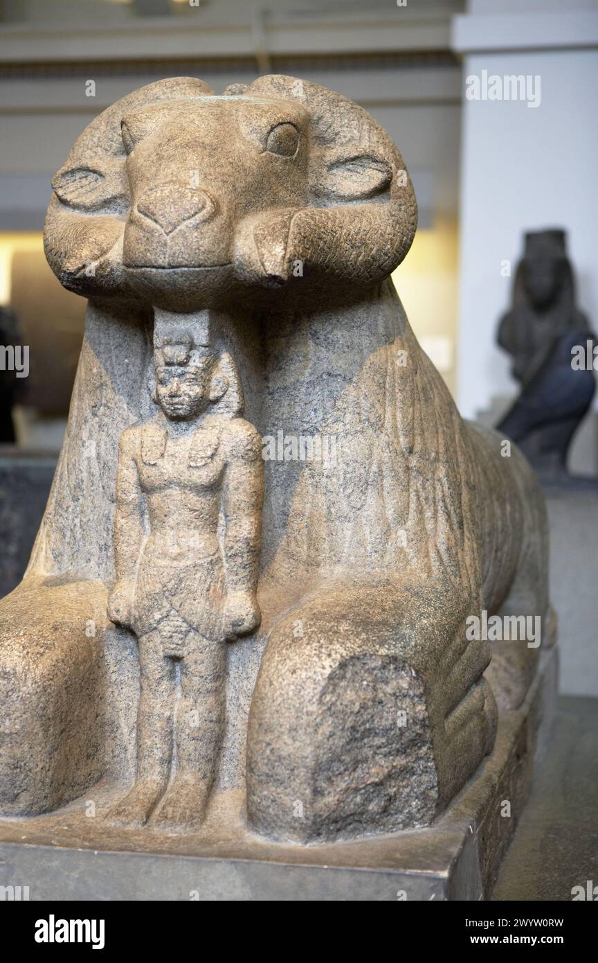Granite statue of Amun in the form of a ram protecting King Taharqa ...