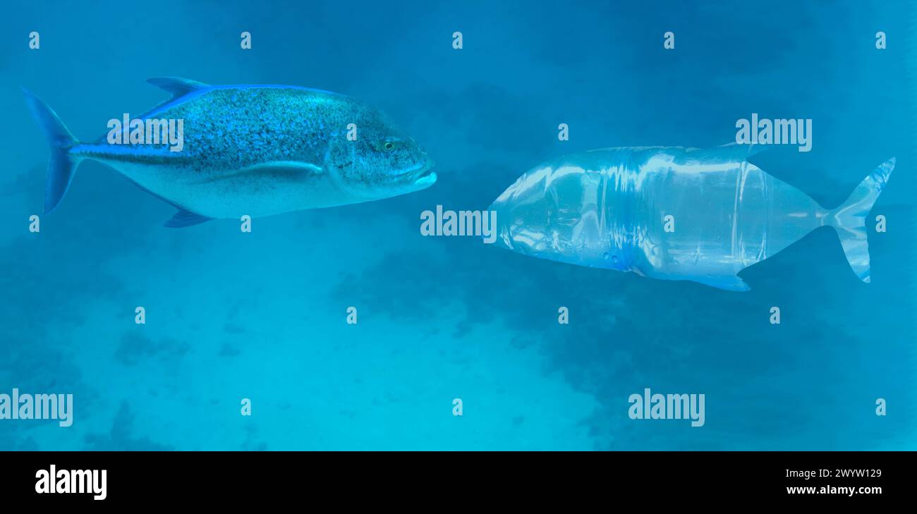 Dead fish plastic bottle pollution hi-res stock photography and images ...