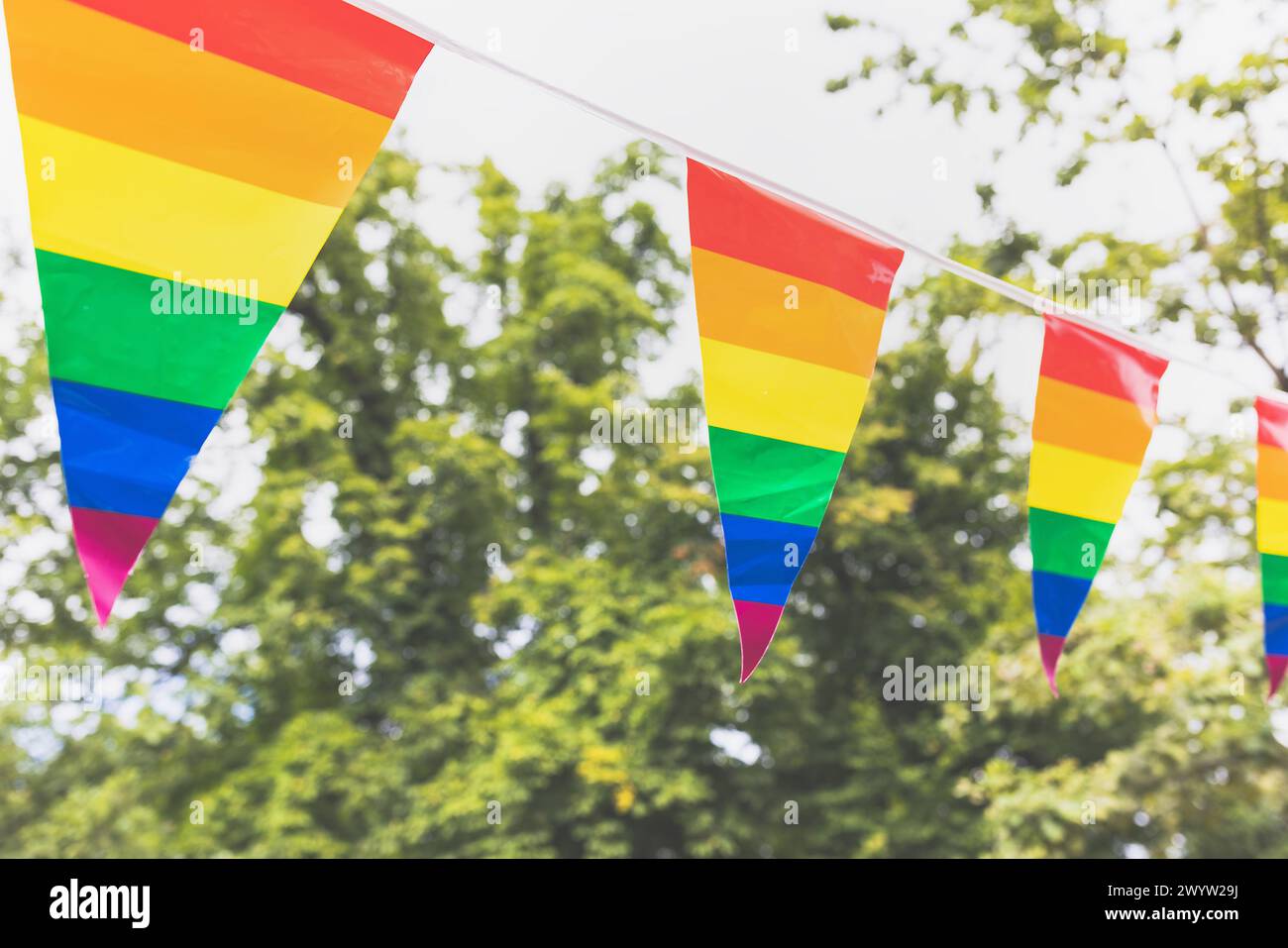 Colorful LGBTQ pride flags waving on sunny day with trees in background ...