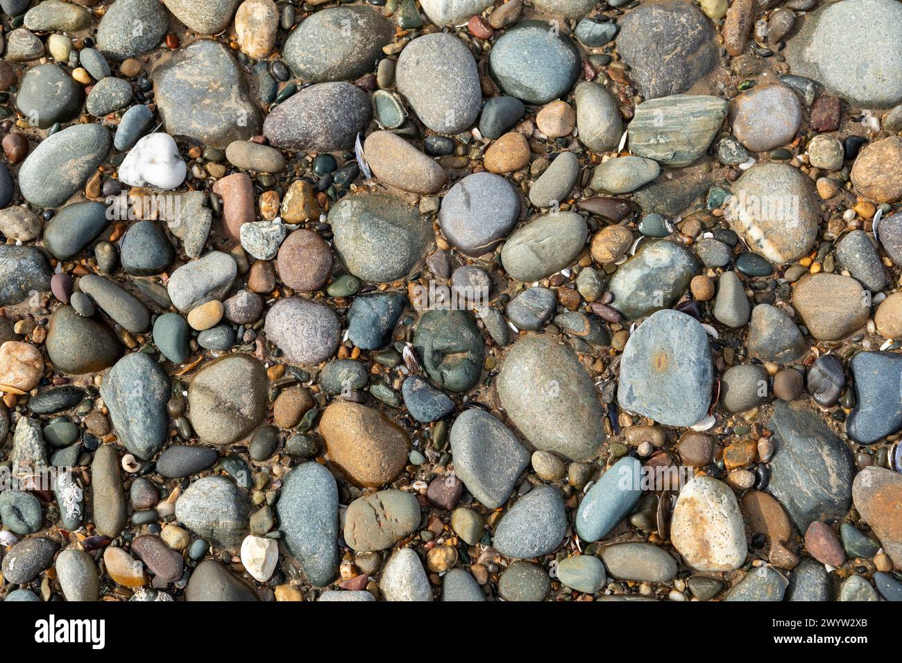 Pebbles, beach, LLanddwyn Bay, Newborough, Anglesey Island, Wales ...