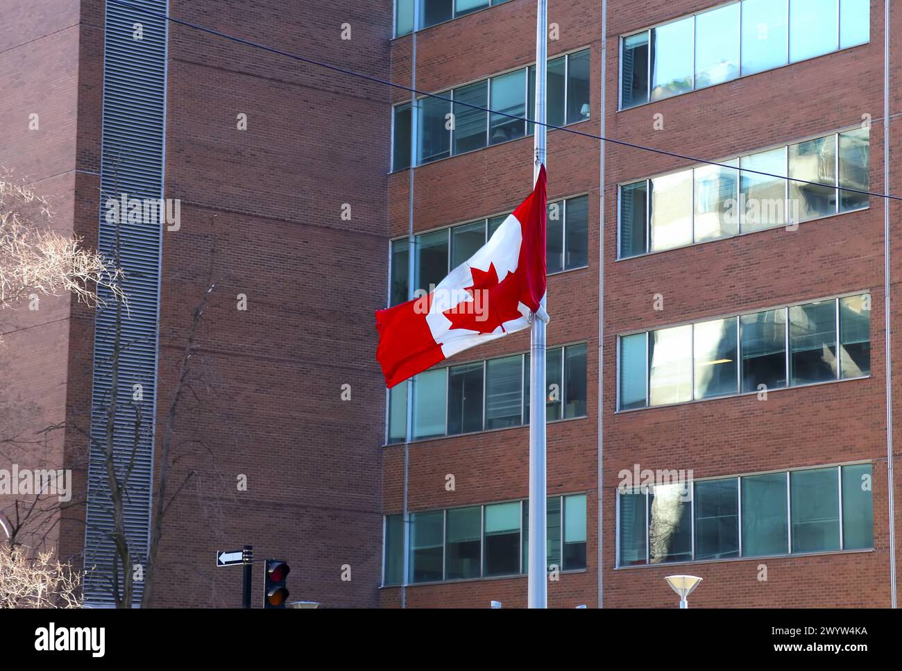 Beautiful Canada flag is waving front of business building in Downtown ...