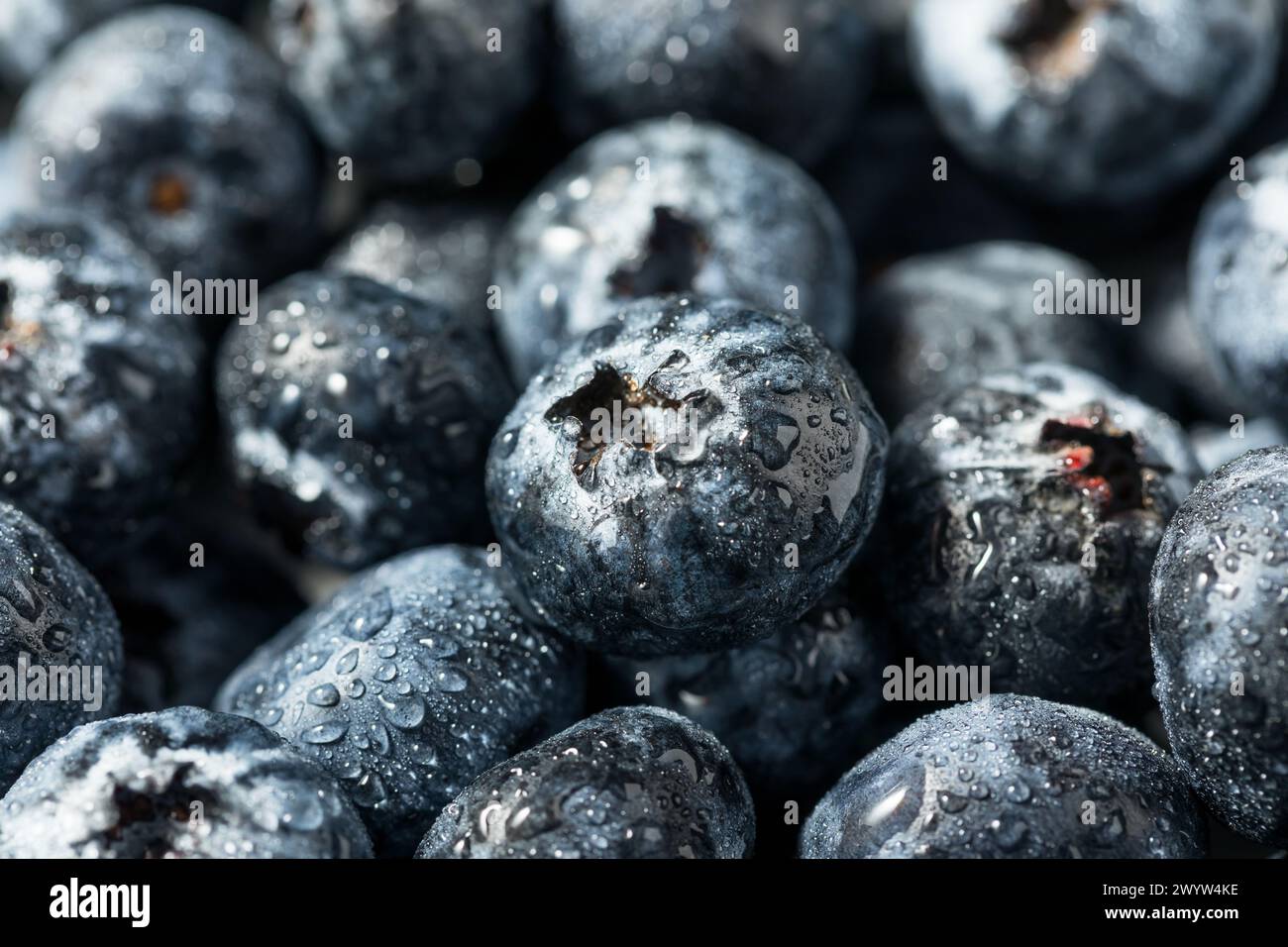 Organic blueberry hi-res stock photography and images - Alamy