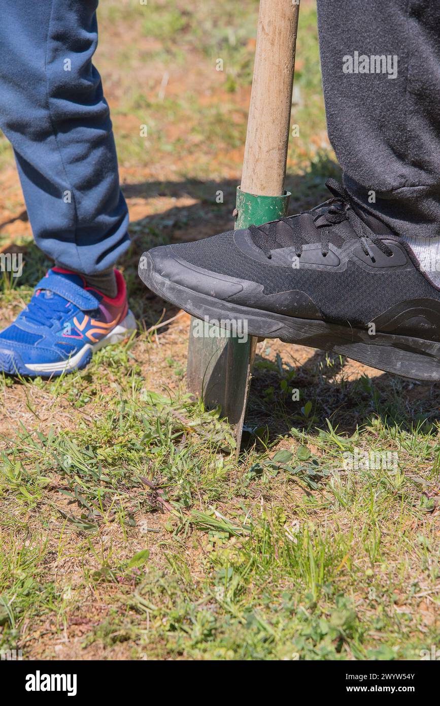 father and children working in the garden Stock Photo - Alamy