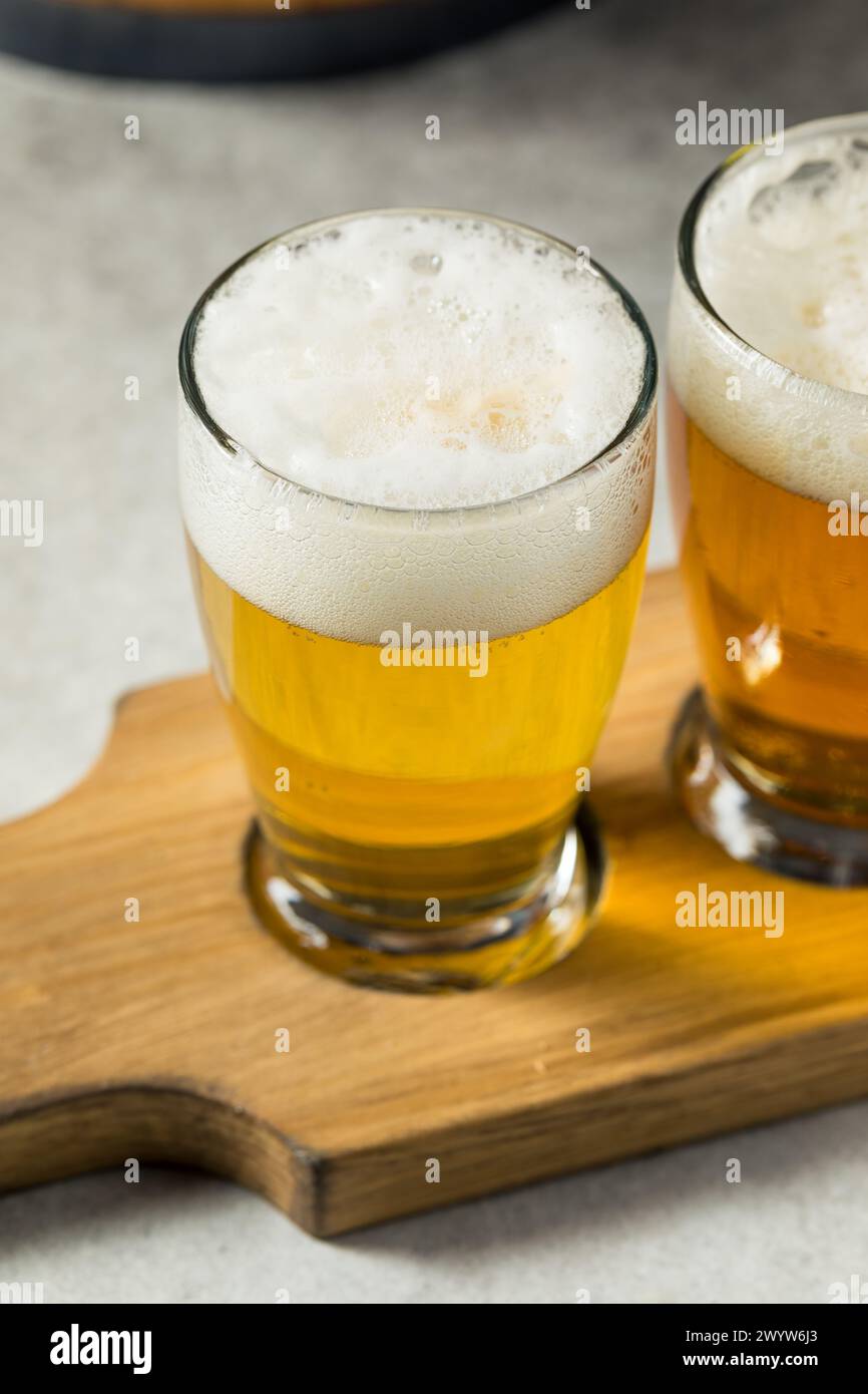 Boozy Refreshing Cold Craft Beer Flight with an IPA and Lager Stock ...