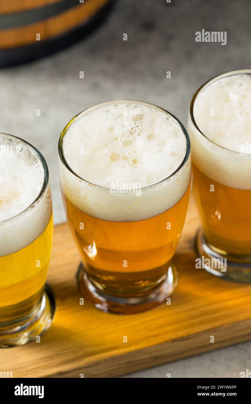 Boozy Refreshing Cold Craft Beer Flight with an IPA and Lager Stock ...