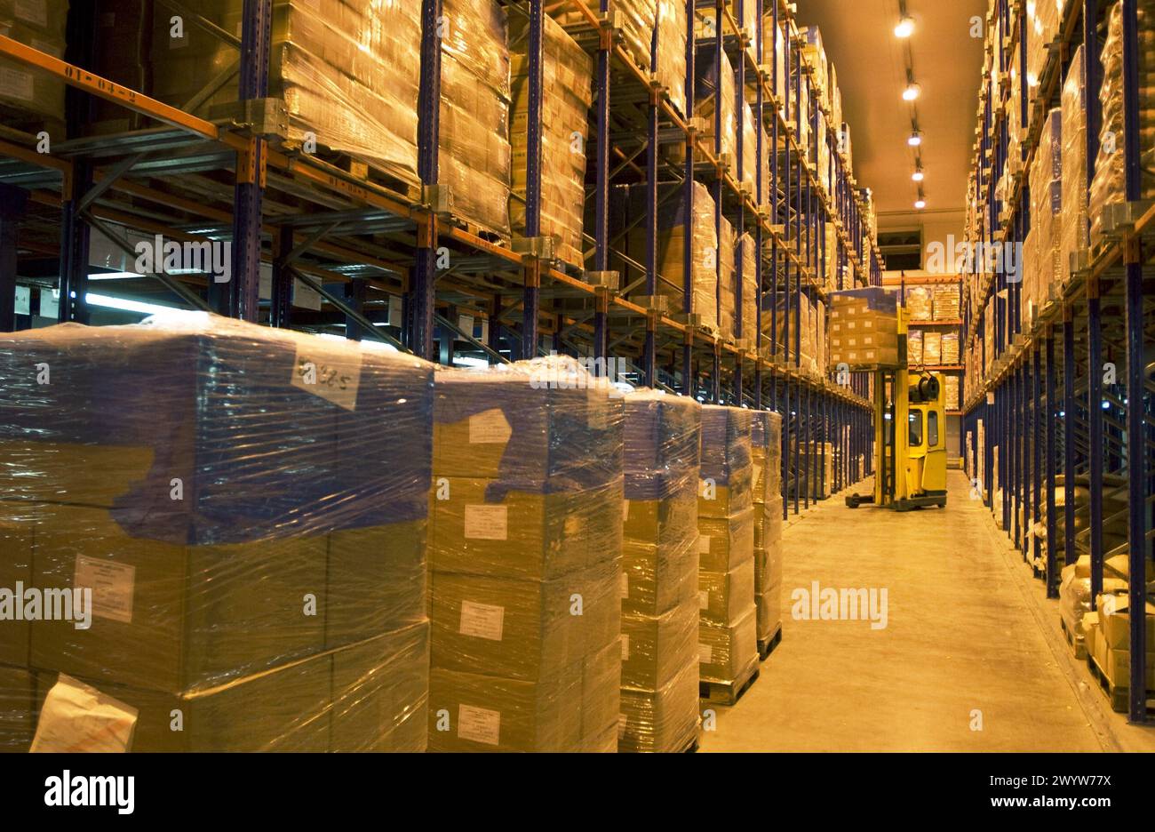 Frozen product warehouse, Food Industry Stock Photo - Alamy
